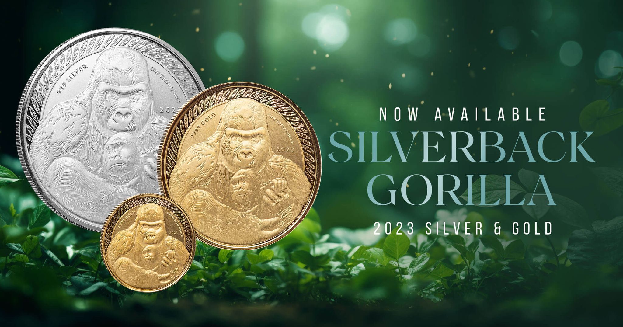 New Coin Release: 2023 Silverback Gorilla | Scottsdale Mint