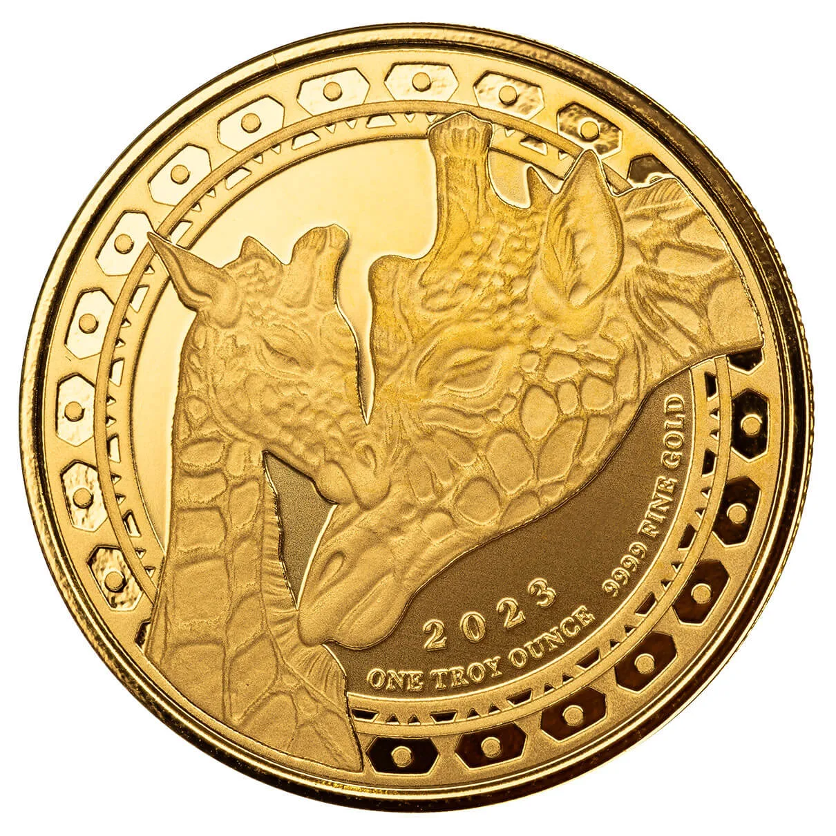 2023 Equatorial Guinea Giraffe 1 oz Gold Proof Coin