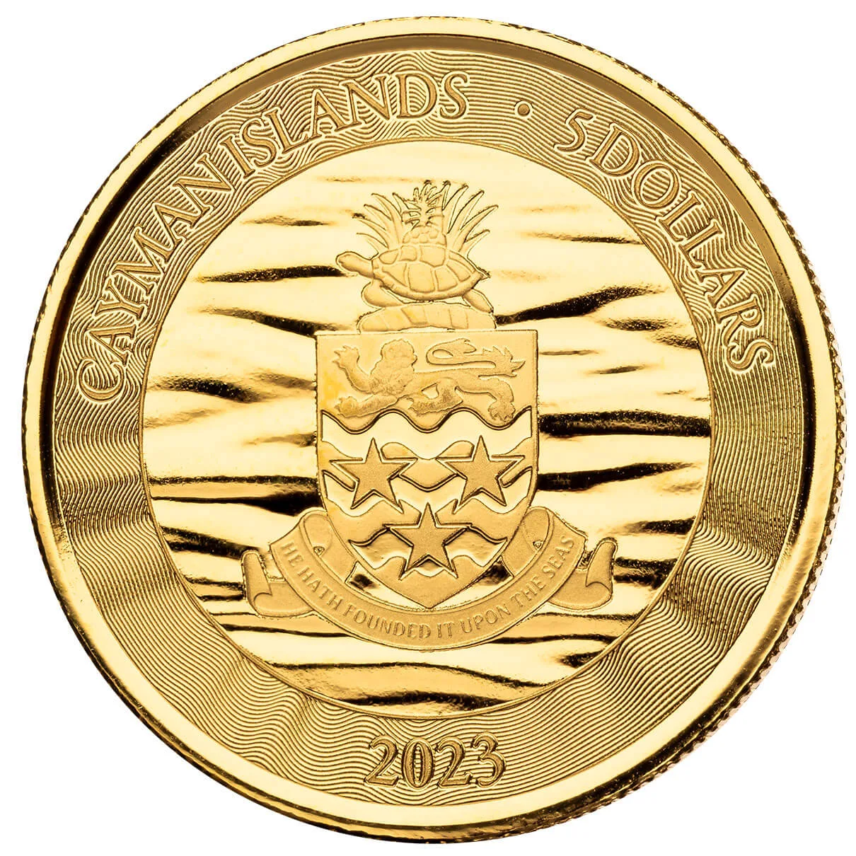 Shop the 2023 Cayman Islands Loggerhead Turtle 1 oz Gold Proof Like Coin