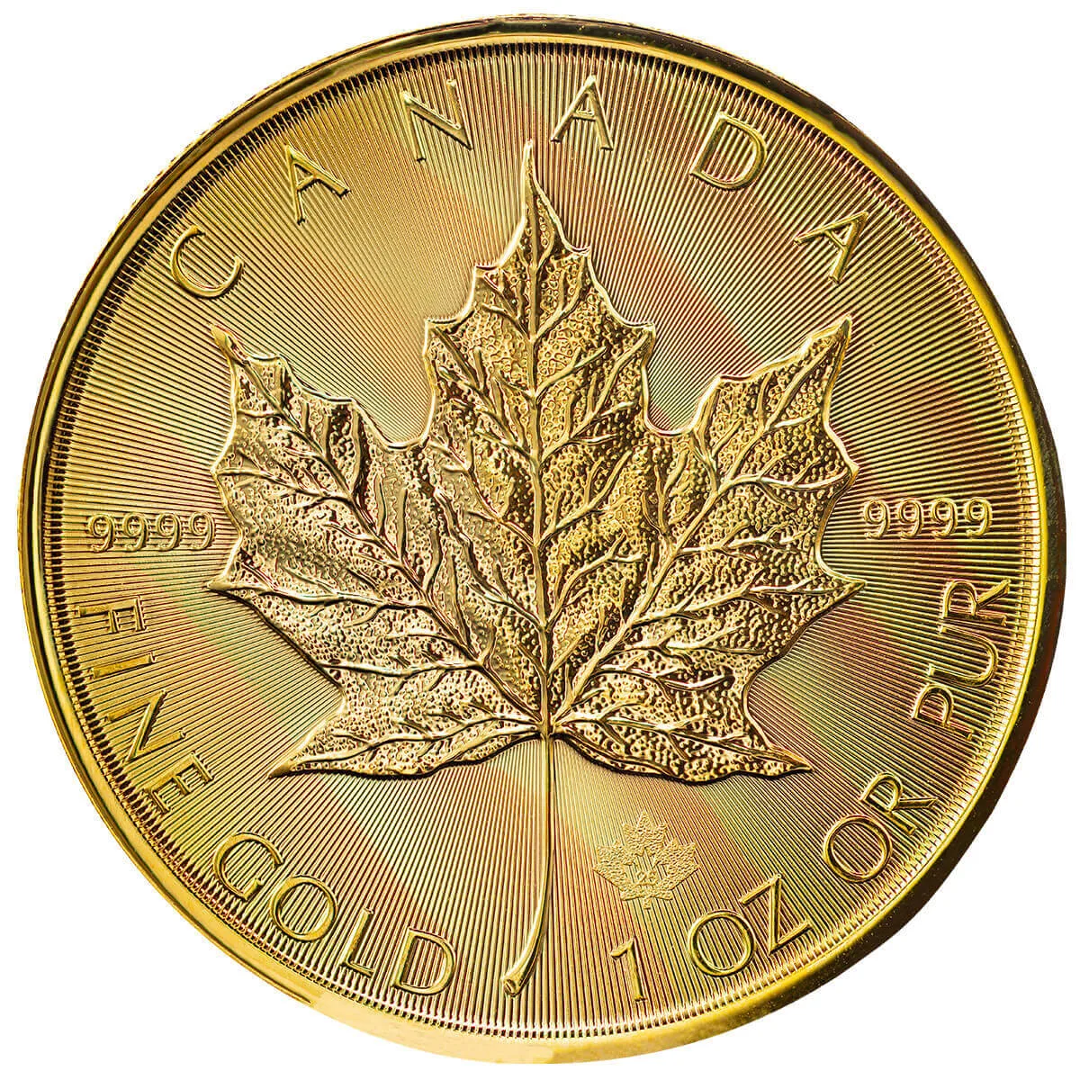 2025 Canada Gold Maple Leaf 1 oz Gold Coin | Scottsdale Mint