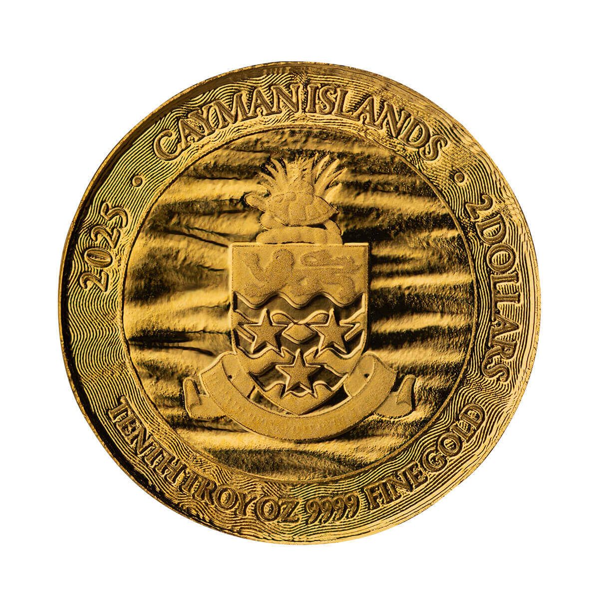 2025 Cayman Islands | Loggerhead Turtle 1/10th Troy oz 9999 Fine Gold Coin
