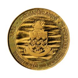 2025 Cayman Islands | Loggerhead Turtle 1/10th Troy oz 9999 Fine Gold Coin
