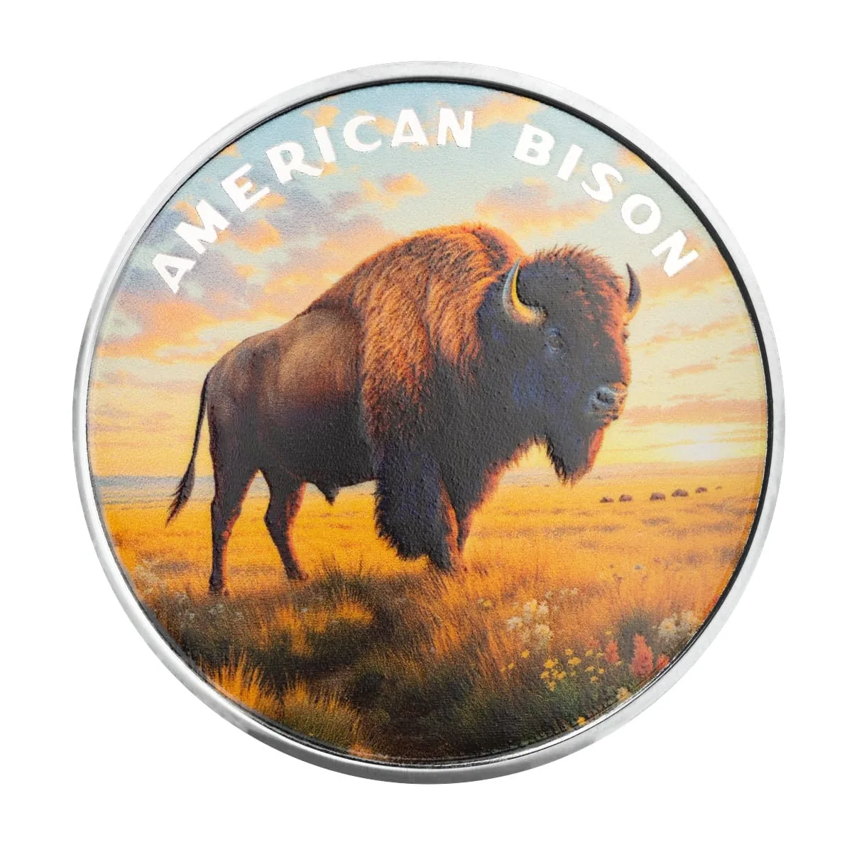 The Wild | American Bison 1 oz 999 Fine Silver Colorized Round