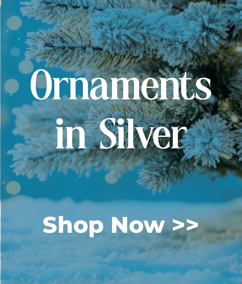 Buy Holiday Ornaments in Silver